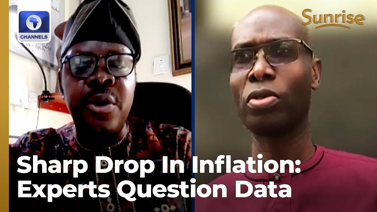 Sharp Drop In Inflation: Accountant, South African-Based mostly Nigerian Professor Assessment ...